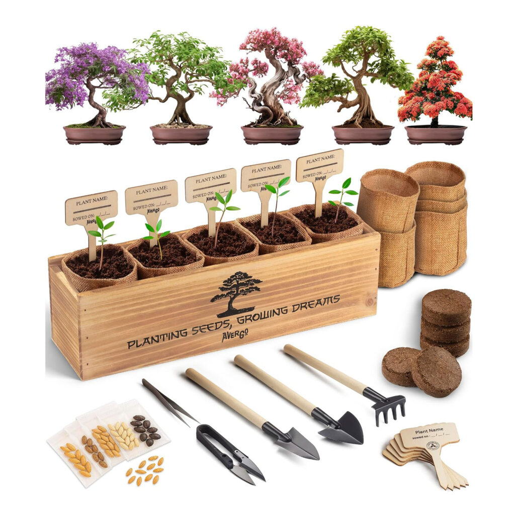 Bonsai Tree Kit - CRAOB